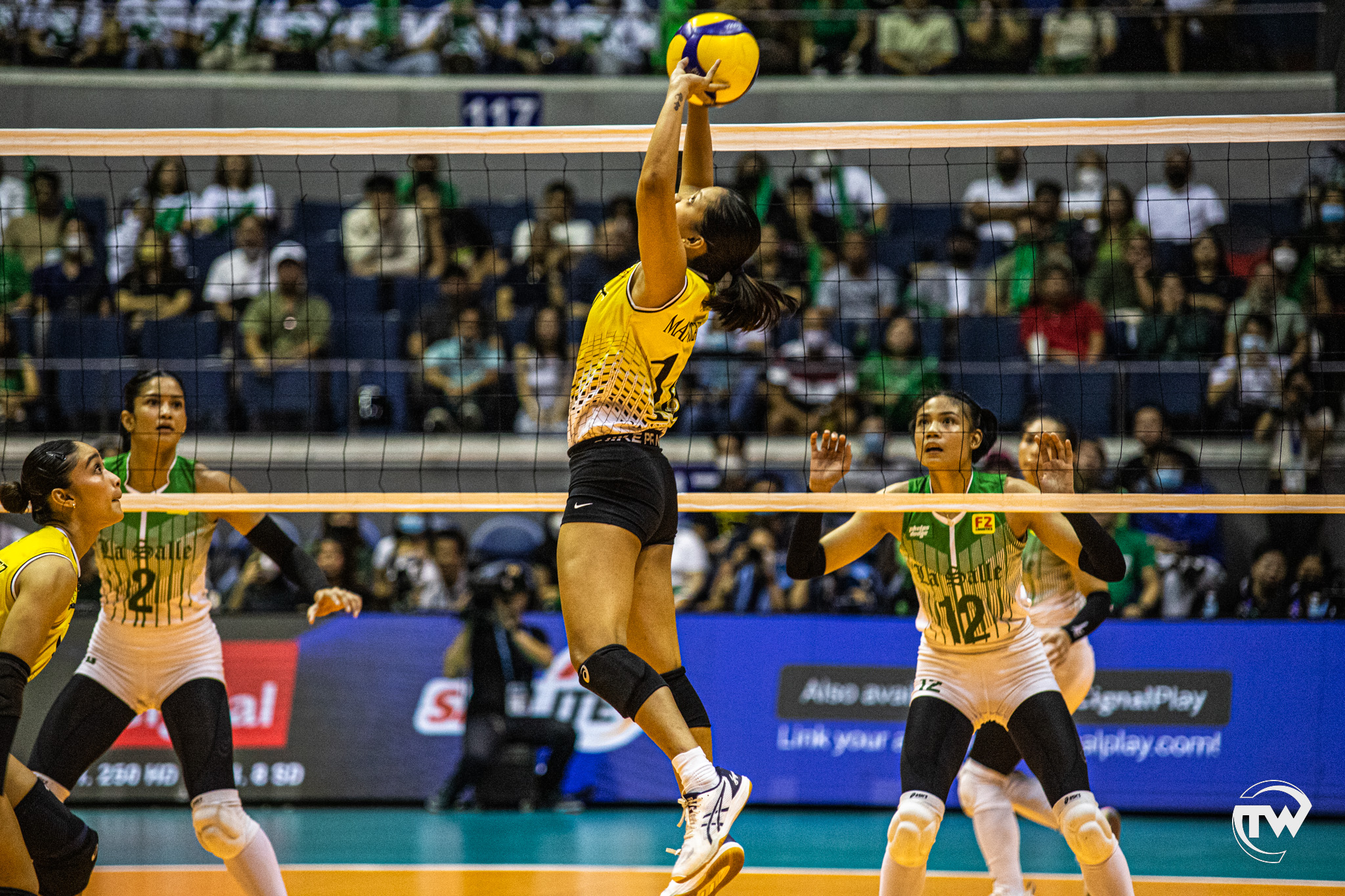 Sports • TomasinoWeb