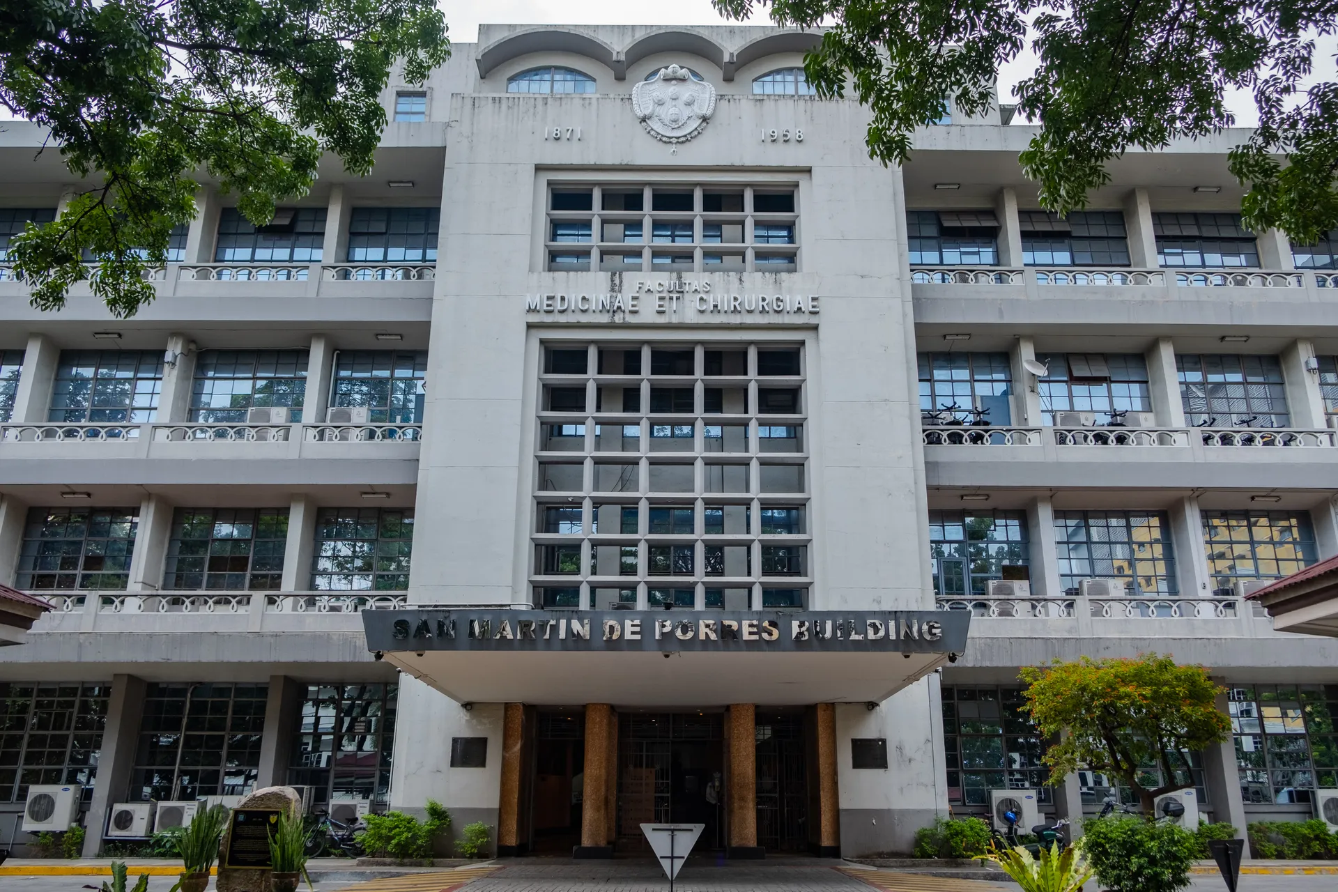 UST marks 10th year perfect streak in 2024 Nursing boards • TomasinoWeb