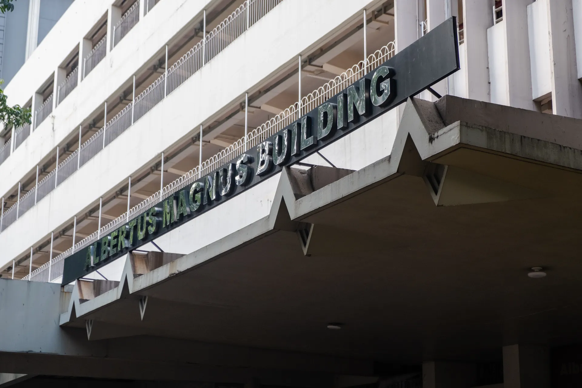 UST is best school in September 2024 Elementary LET level, third in ...